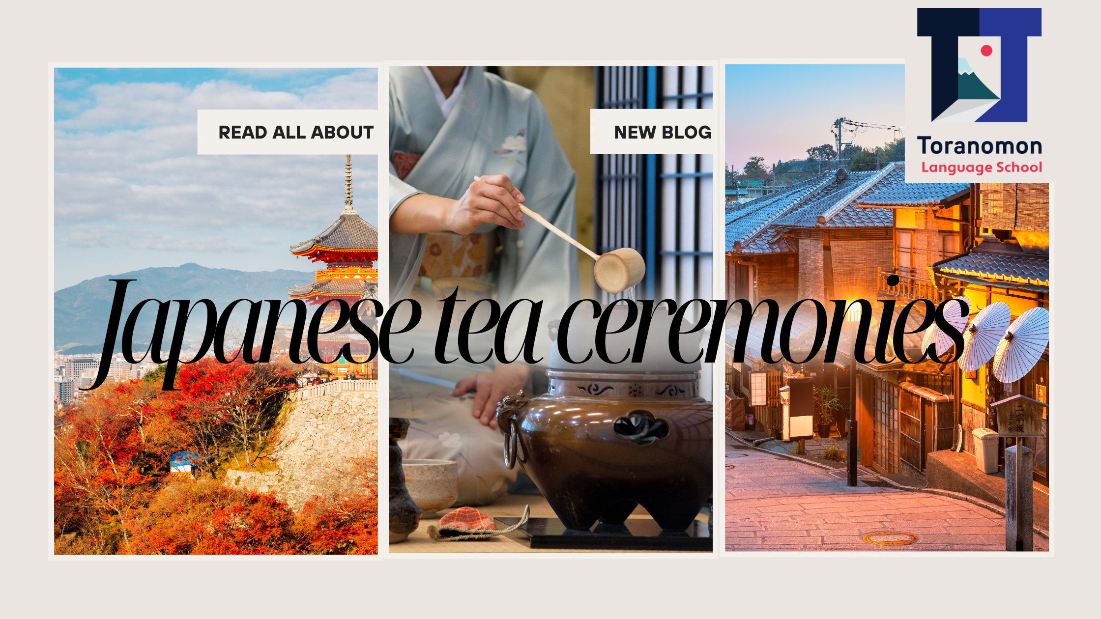 Japanese Tea Ceremonies- A Quintessential Experience - Toranomon ...